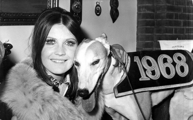 Sandie Shaw Agreed To Eurovision Over Divorce Drama – My Music Movement